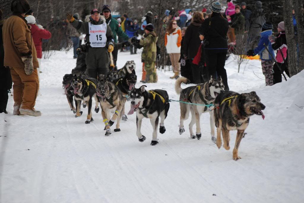 OT: Pictures of the 2010 Iditarod - Ford Truck Enthusiasts Forums
